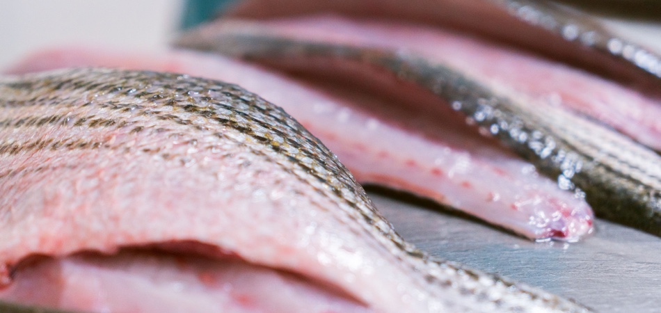 Who We Serve - Sam Rust Seafood