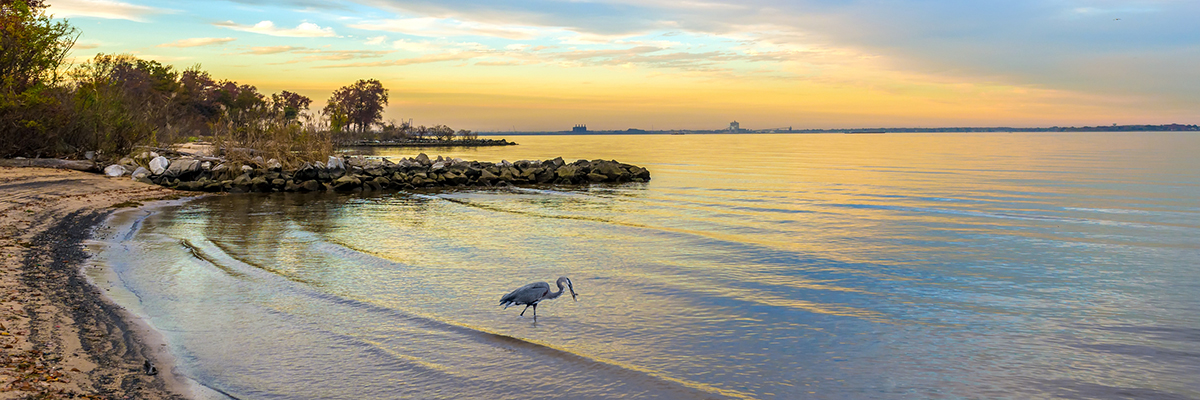 Northern Neck & Middle Peninsula Seafood Supplier - Sam Rust Seafood
