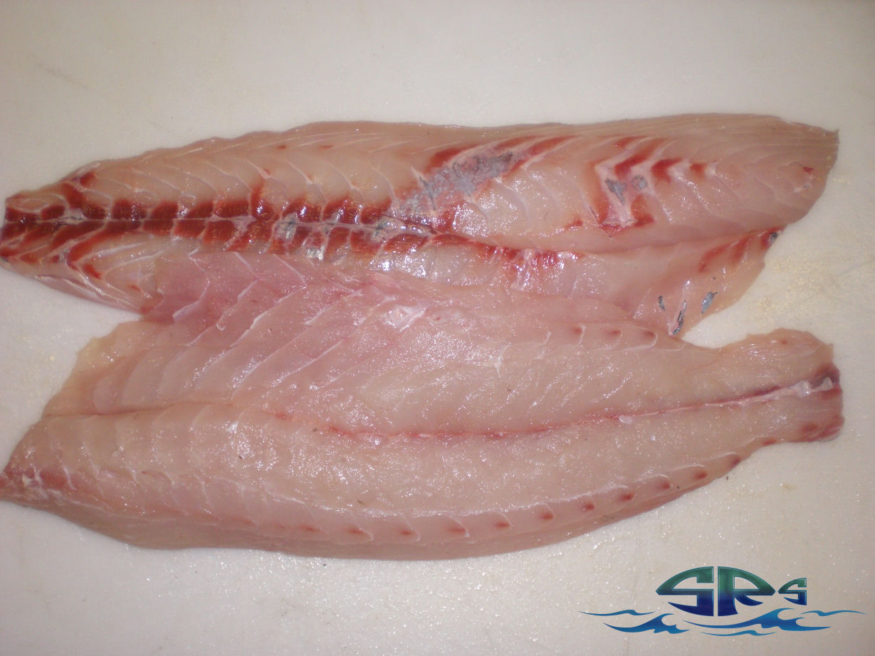 Barrelfish - Sam Rust Seafood